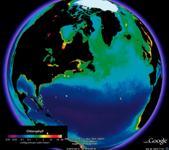 "Google Earth 5" Review