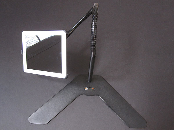Awesomely Weird Accessories for Your iPad